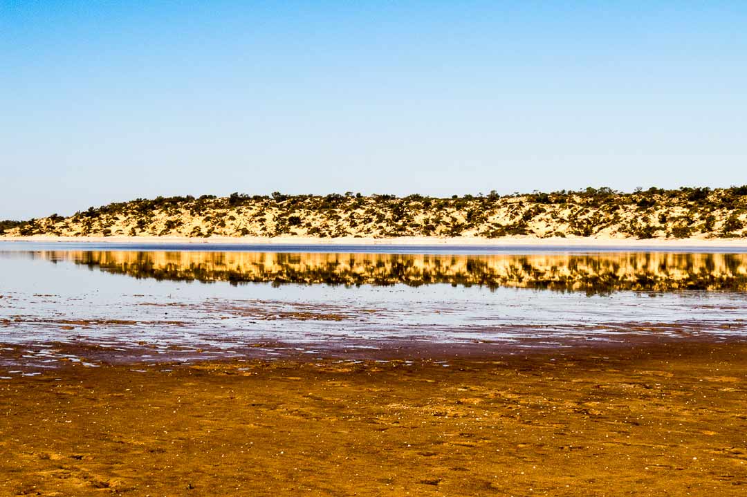 Googs Track - TRACK TRAILER