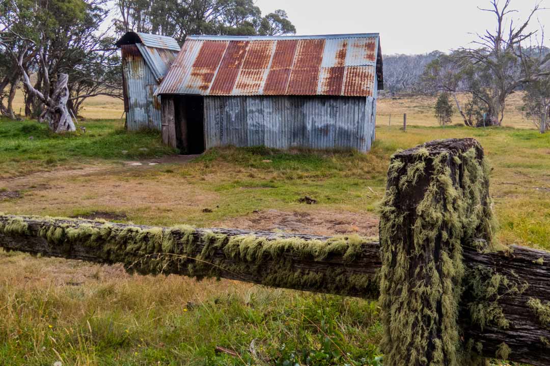 Howitt Hut - TRACK TRAILER