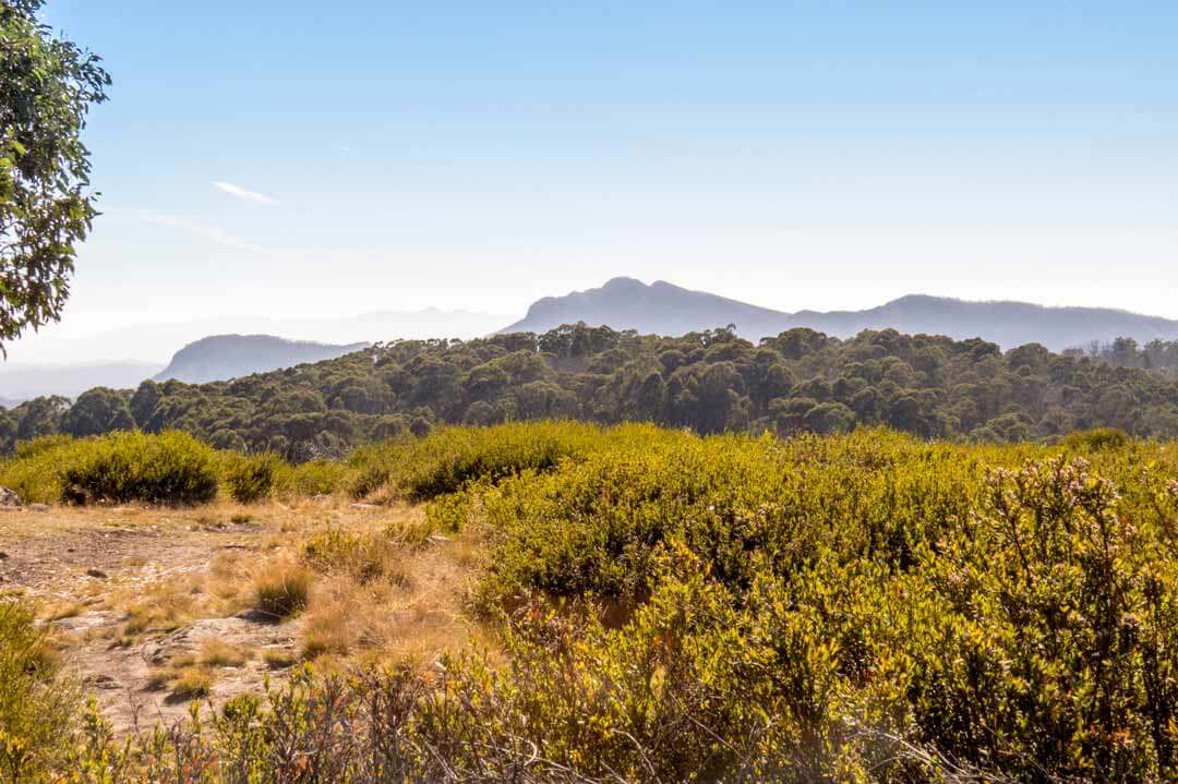 Mt-Cobbler-from-Craig's-Hut - TRACK TRAILER