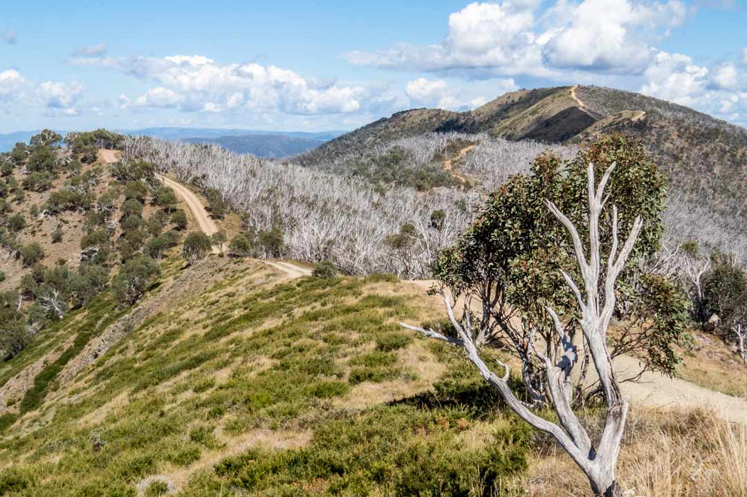 Heading to Blue Rag, Blue Rag Track, On the top! - TRACK TRAILER