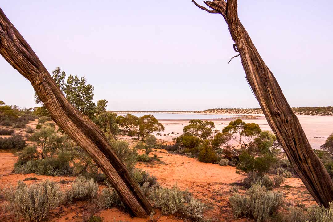 Through-the-trees-at-Googs-Lake - TRACK TRAILER