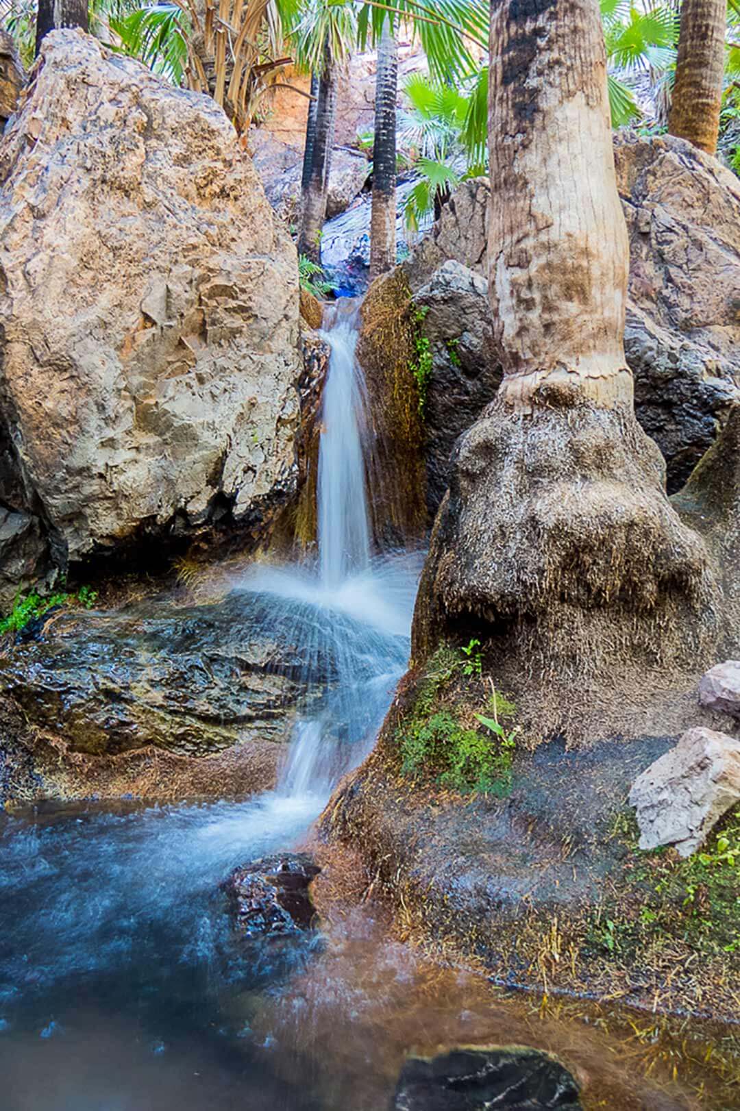 Zebedee Spring - TRACK TRAILER