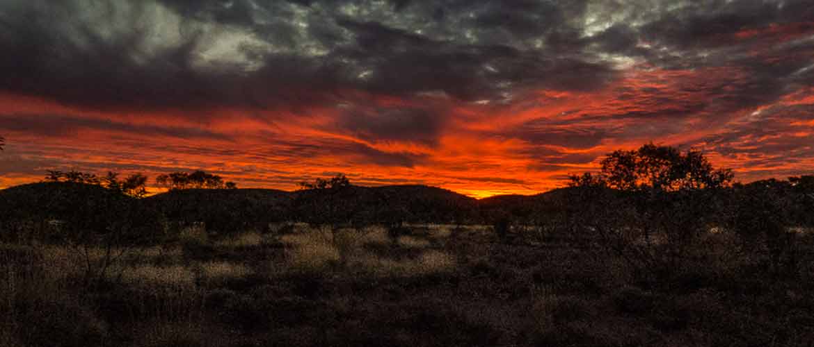 THE PILBARA - TRACK TRAILER