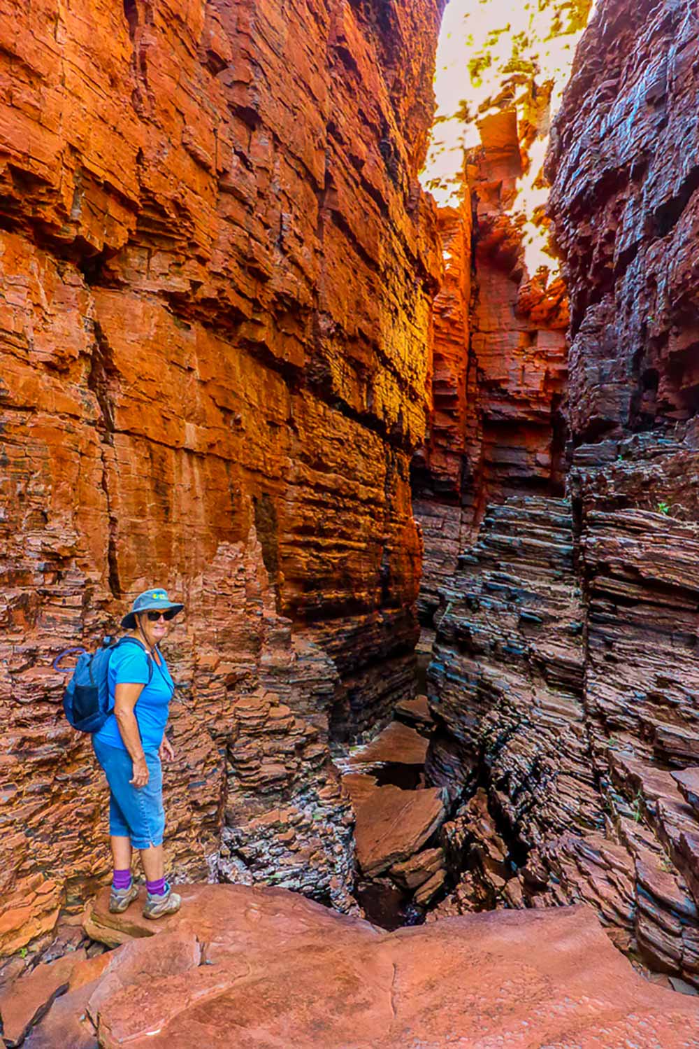 THE PILBARA - TRACK TRAILER