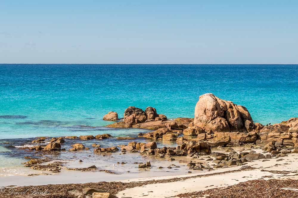 Eagle Bay - TRACK TRAILER