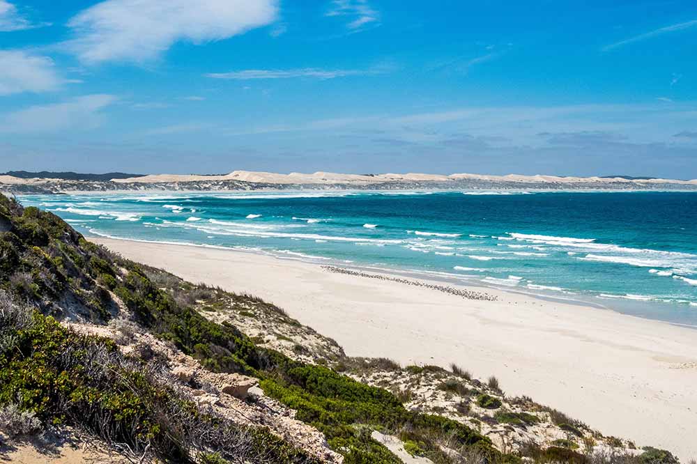 Almonta Beach - TRACK TRAILER