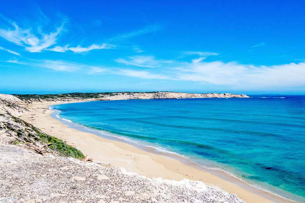 Avoid Bay - TRACK TRAILER