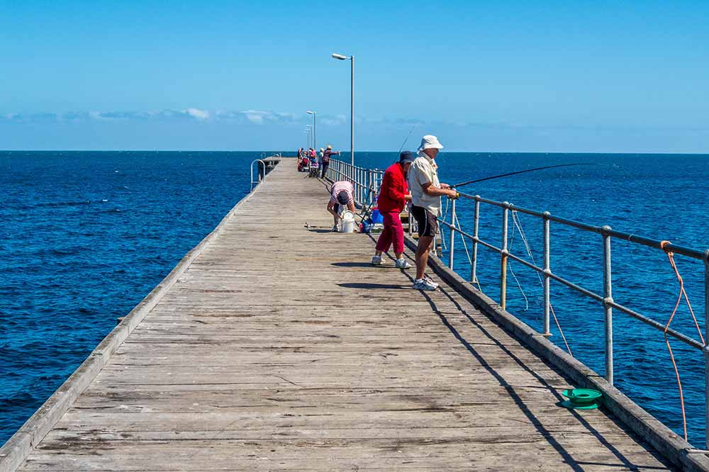 Jetty fishing - TRACK TRAILER