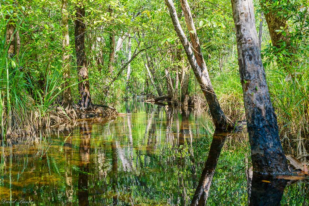 DALY RIVER AND LITCHFIELD NATIONAL PARK - TRACK TRAILER