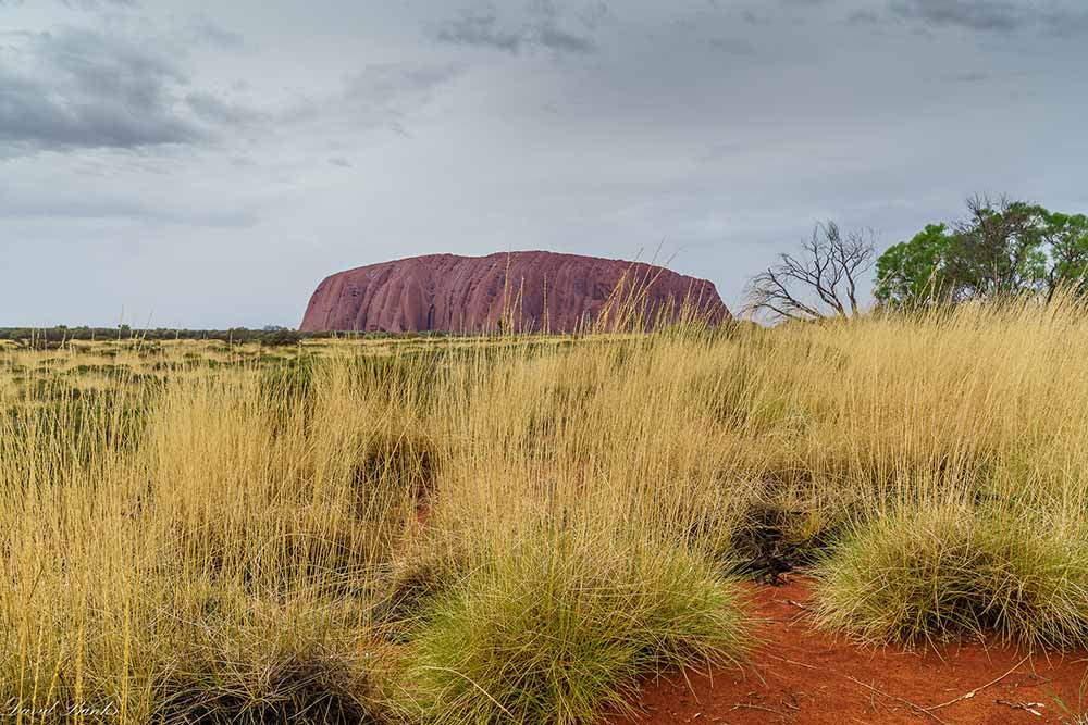 Changing colours of Uluru - TRACK TRAILER