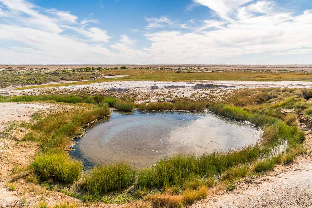 THE OODNADATTA TRACK - Track Trailer