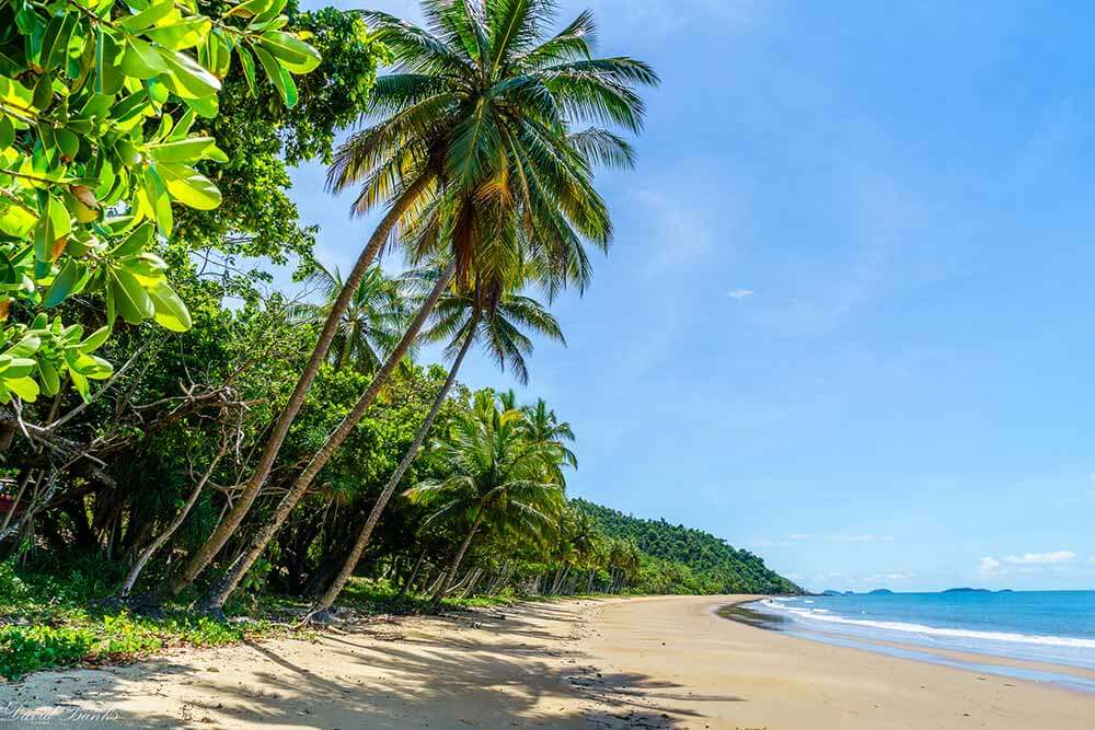 Bingil Bay - TRACK TRAILER