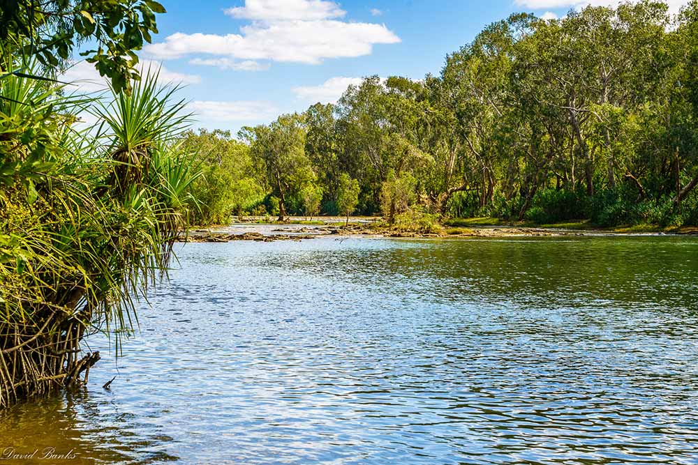 The bar at Roper Bar - TRACK TRAILER