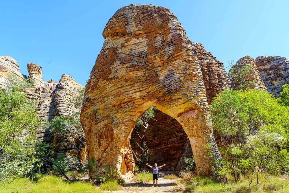LIMMEN NATIONAL PARK AND LORELLA SPRINGS - Track Trailer