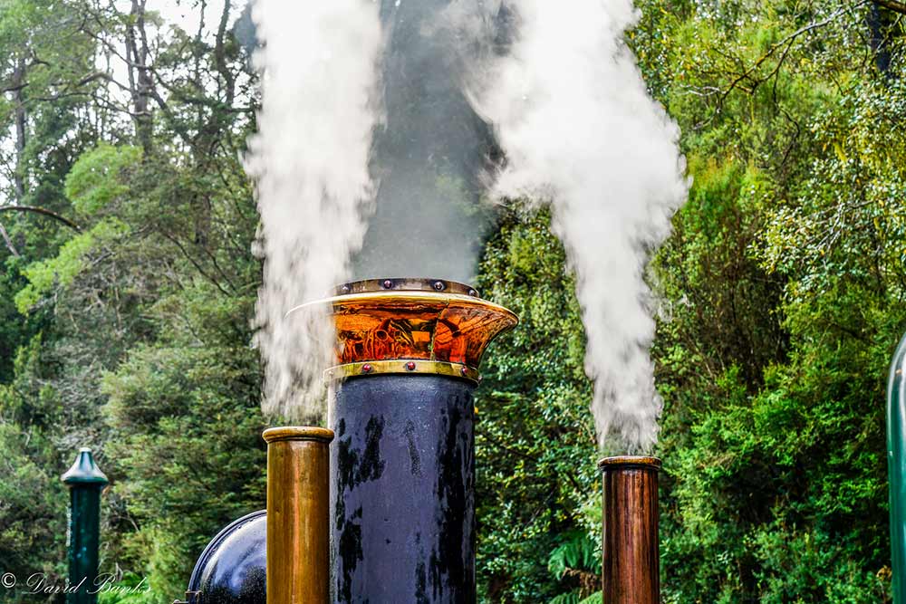 Full-steam - TRACK TRAILER