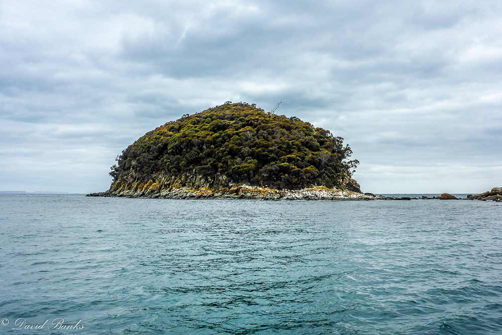 BRUNY ISLAND - TRACK TRAILER