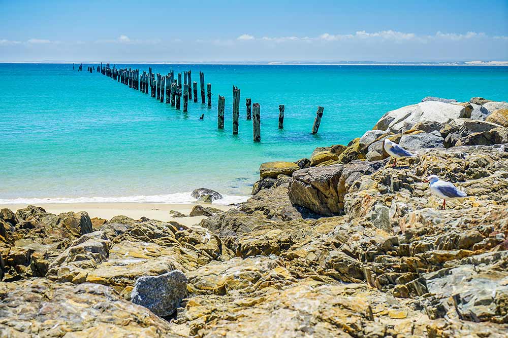 Stumpys-Bay - TRACK TRAILER