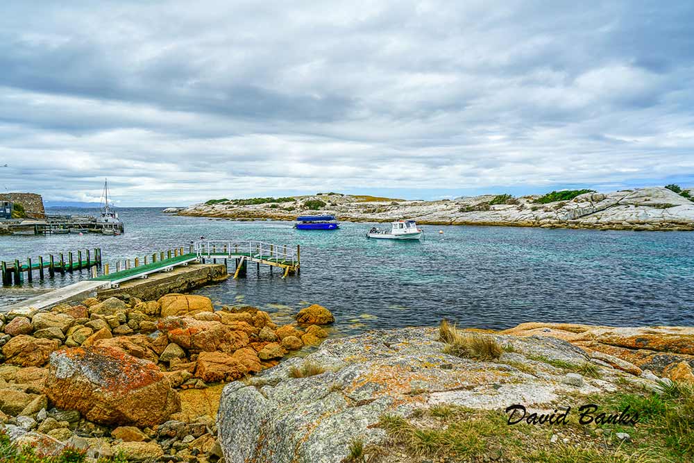 The-Gulch-at-Bicheno - TRACK TRAILER