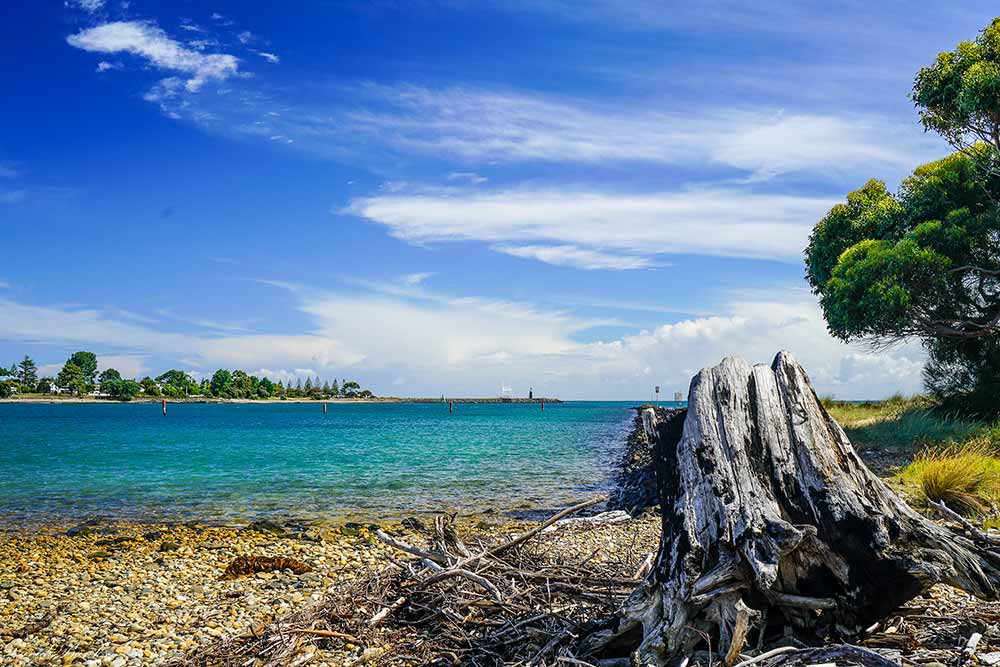The Mersey River Devonport - TRACK TRAILER