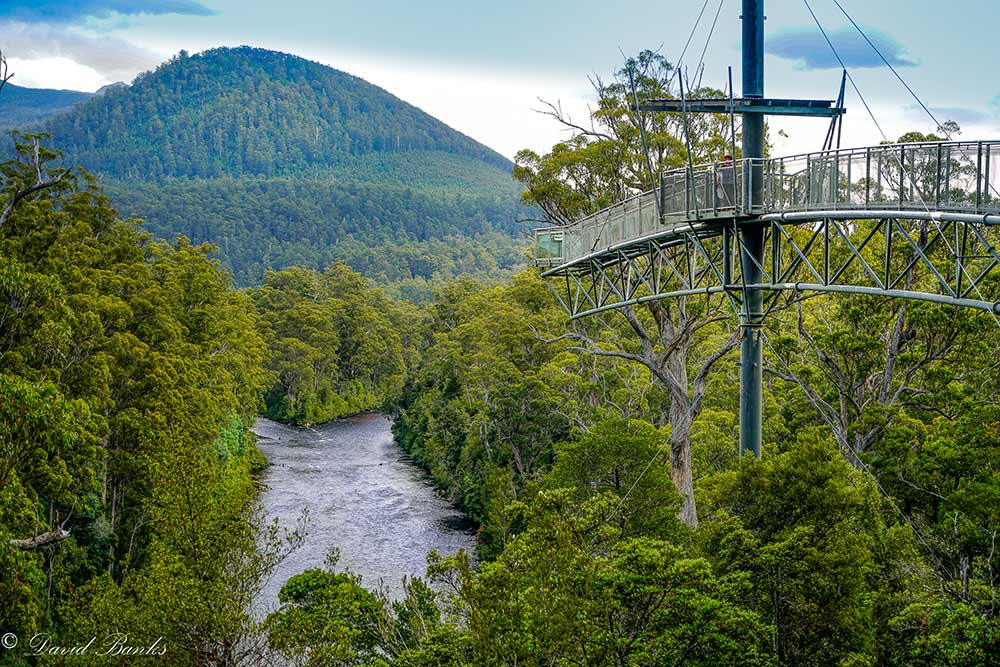 Where-the-rivers-meet - TRACK TRAILER