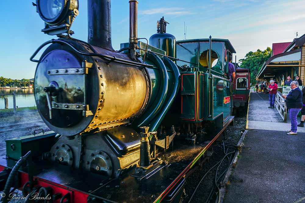 Wilderness-Steam-Train - TRACK TRAILER